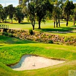 Box Hill Golf Club - Golf Finder - Golf Directory
