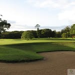 Waratah Golf Club - Golf Finder - Golf Directory