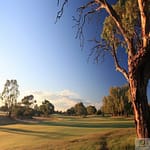 The Grange Golf Club - Golf Finder - Golf Directory