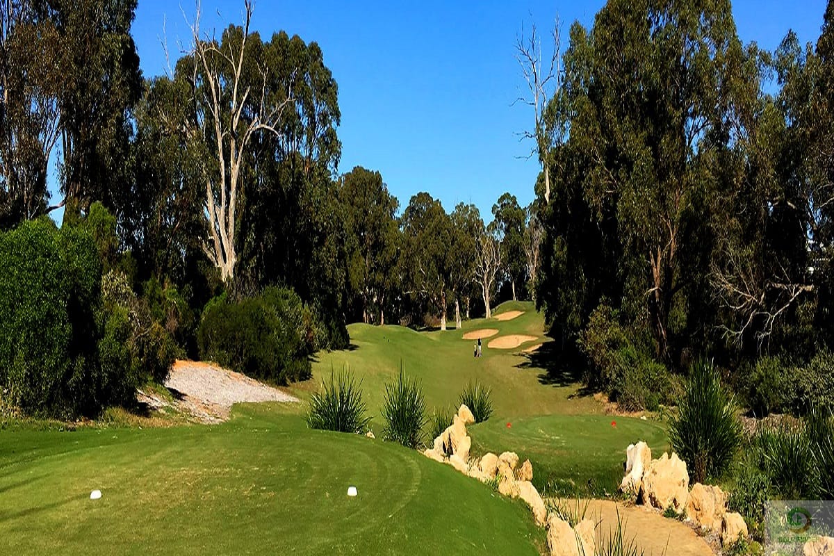 Meadow Springs Golf Country Club - Golf Finder - Golf Directory